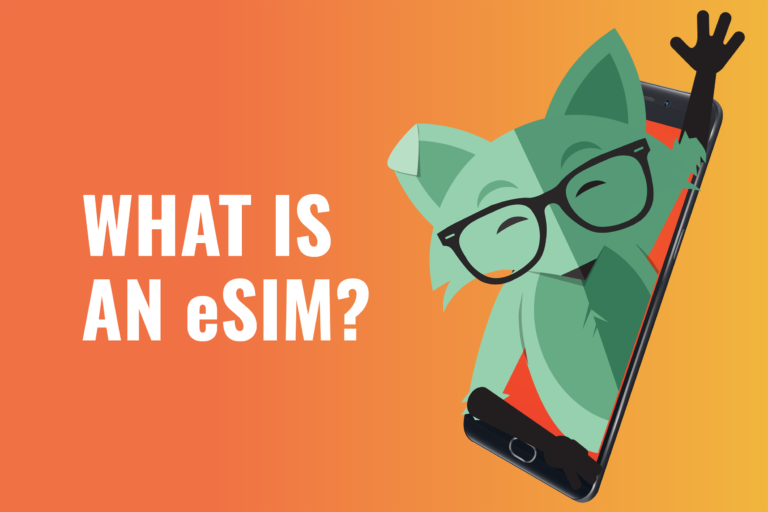 What is an eSIM card & how does it work | Mint Mobile