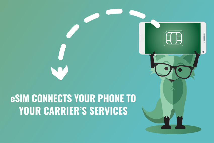 What is an eSIM card & how does it work | Mint Mobile