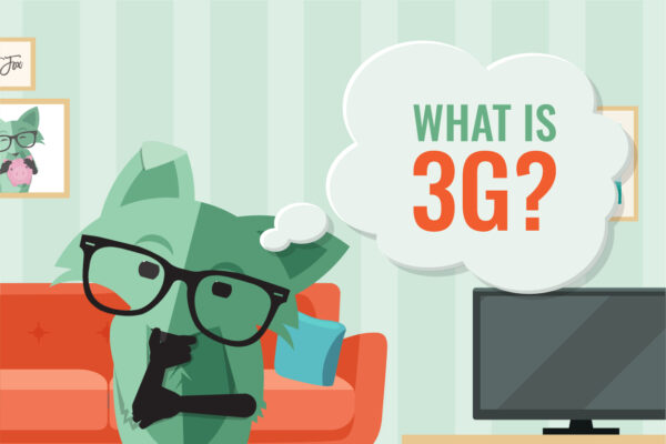 3G Shutdown - The 3G Network Shutdown & Everything You Need to Know ...