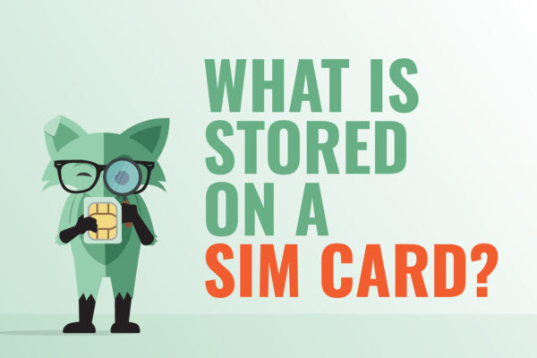 What is stored on a SIM card? | Mint Mobile
