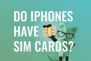 Do iPhones have SIM cards? What size do you need? | Mint Mobile