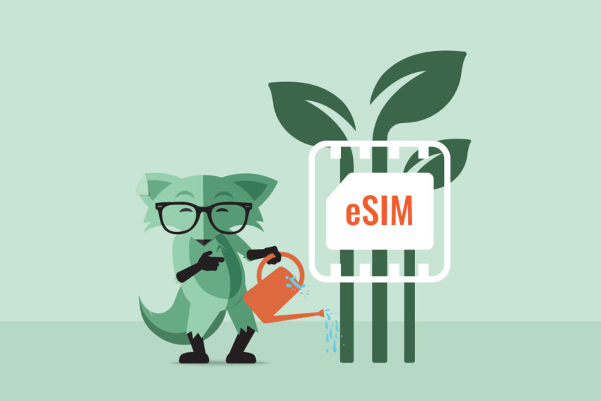 eSIM vs physical SIM cards: What you need to know | Mint Mobile