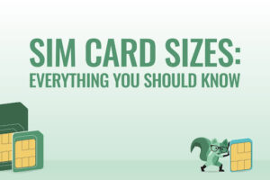 SIM card sizes - Everything you should know | Mint Mobile