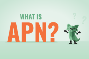 What is APN (Access Point Name) | Mint Mobile