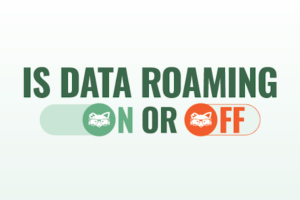 What Is data roaming - Why is my phone data roaming | Mint Mobile