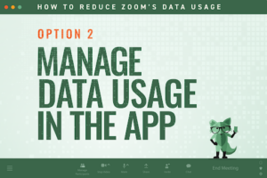 How much data does Zoom use & How to manage it | Mint Mobile