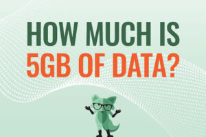 How much is 5GB of data & how long will it last? | Mint Mobile