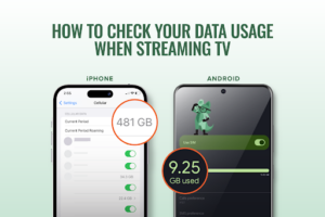 How much data does streaming TV use? | Mint Mobile