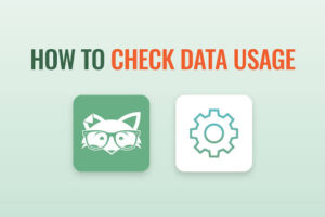 How much data do I need & how to check usage | Mint Mobile