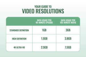 How much data does Disney Plus use? | Mint Mobile