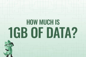 How much is 1GB of data & what can I do with it? | Mint Mobile