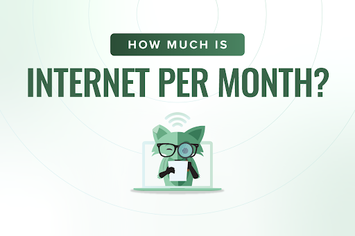 How much is internet per month? I Mint Mobile