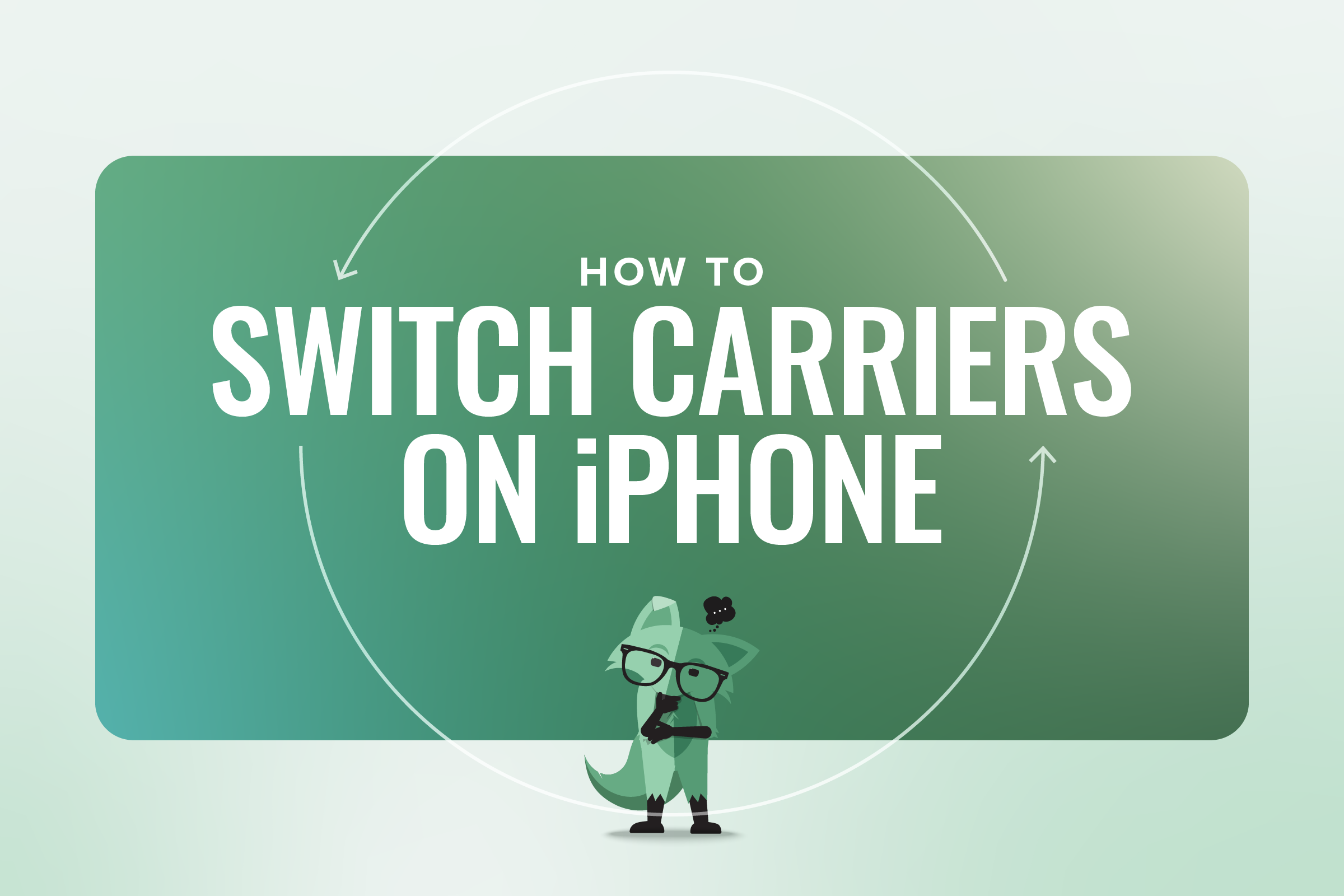How to switch carriers on iPhone | Mint Mobile