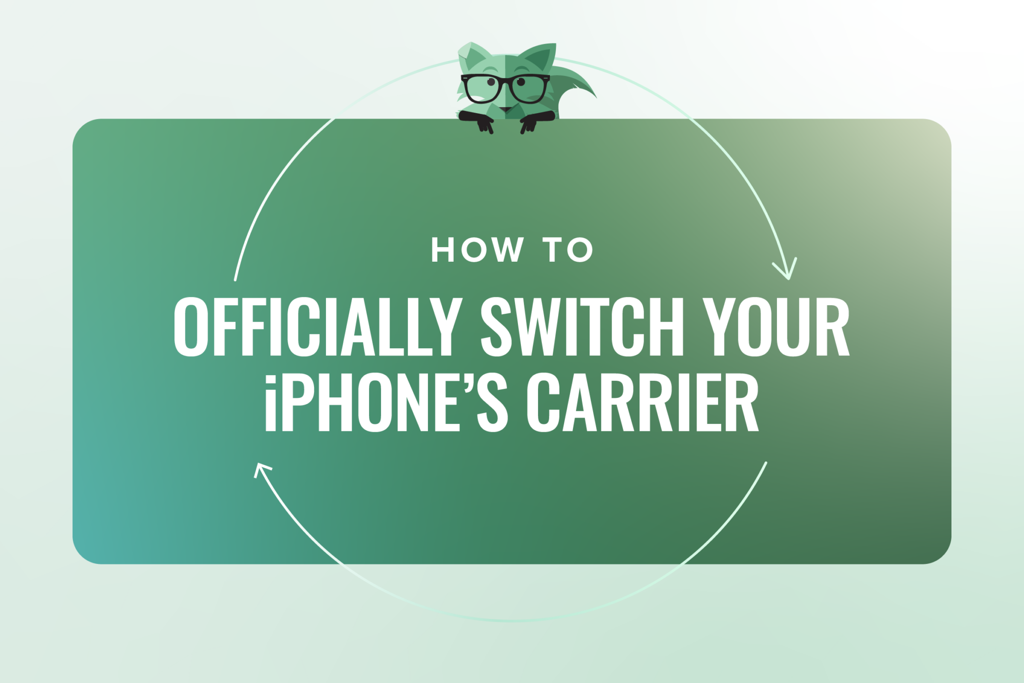 How to switch carriers on iPhone | Mint Mobile